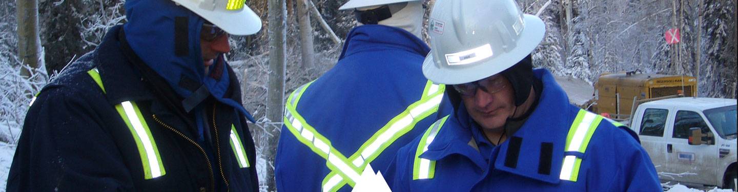 Safety Commitment with 12 Questions - Peak Safety Performance